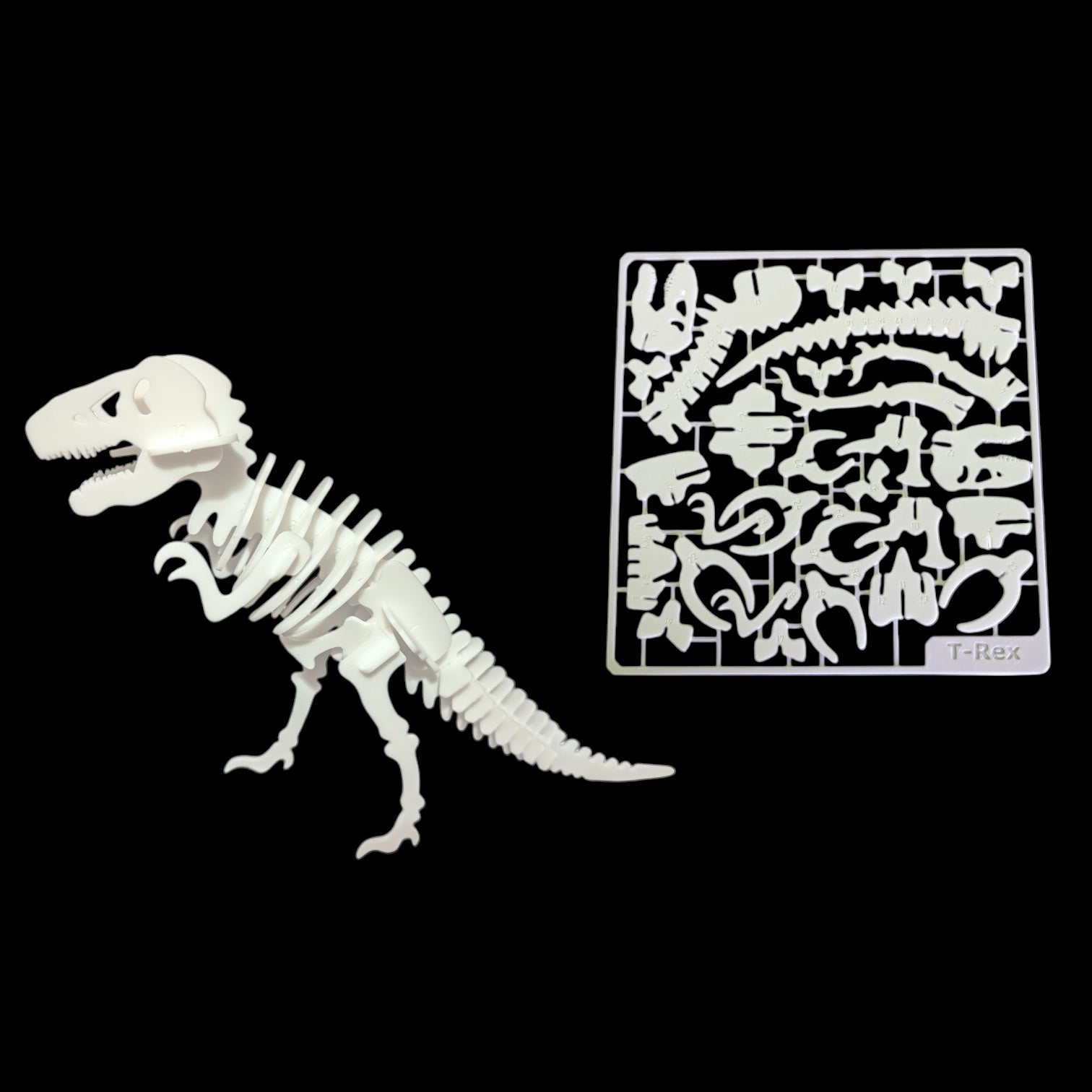 BUILD YOUR OWN T-REX DINOSAUR